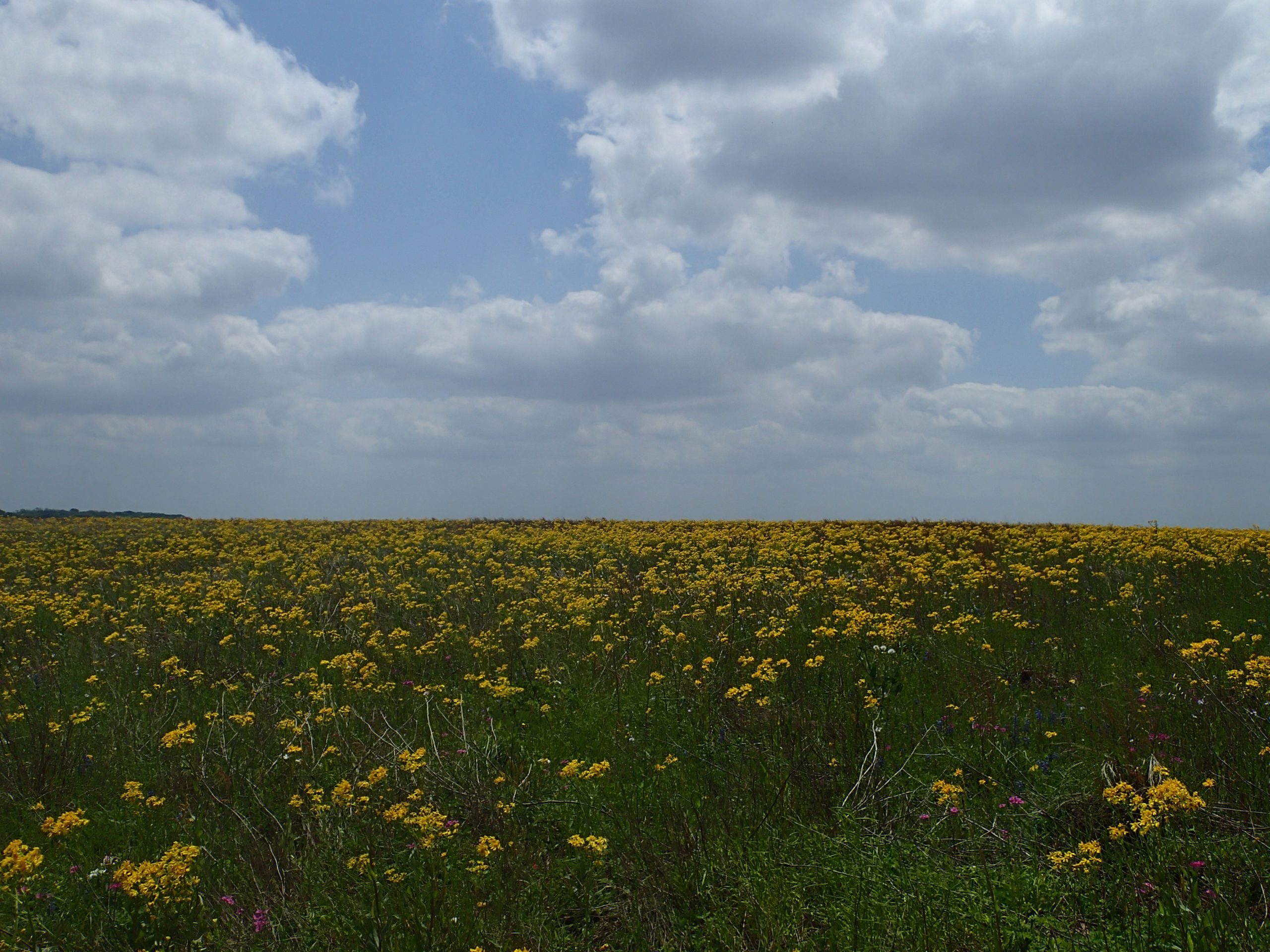 Prairie Mapping Project Phase II Training Workshop! – NPAT