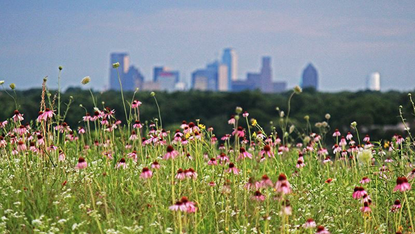 Another Hands On the Prairie Day – this Sunday! 5/22 – NPAT