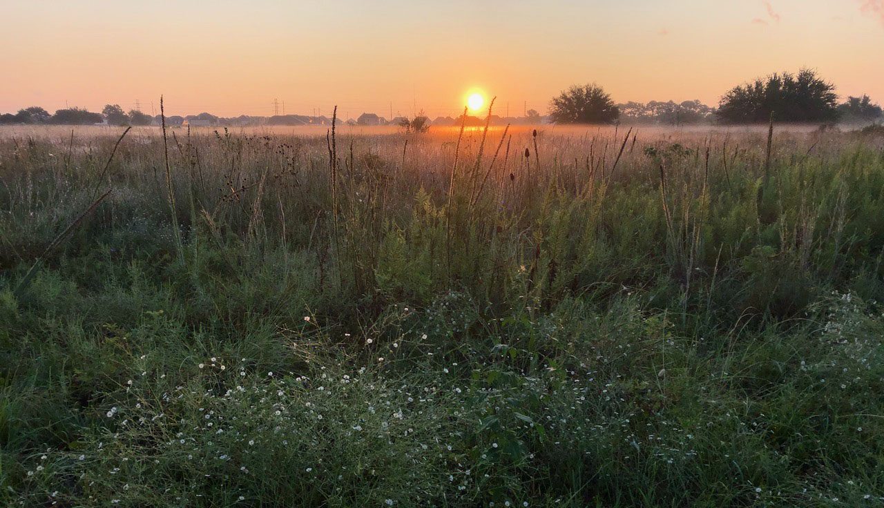 People for Prairies 2023 / Sponsorship Information – NPAT