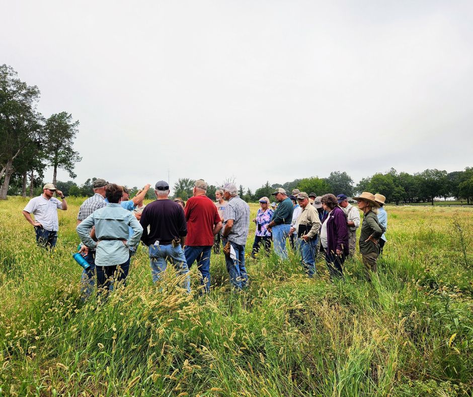 Fayette Prairie Chapter — Grass & Forbs ID: Native & Non-Native ...