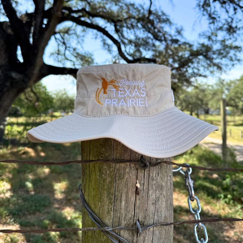 Keeping Texas Prairie Ballcap – NPAT